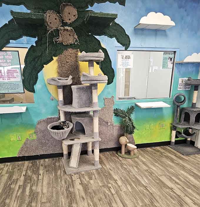 This impressive cat tree stands tall like a feline skyscraper, offering multiple levels of luxury for discerning cats with altitude preferences.