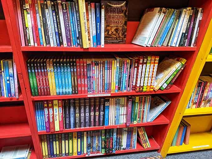 Bright shelves organize children's series and graphic novels, making it easy for young readers to find their next obsession or gateway drug.