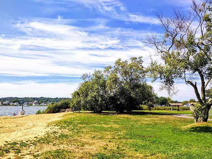 Williams Beach Park offers waterfront green space perfect for picnics, contemplation, or just existing peacefully.