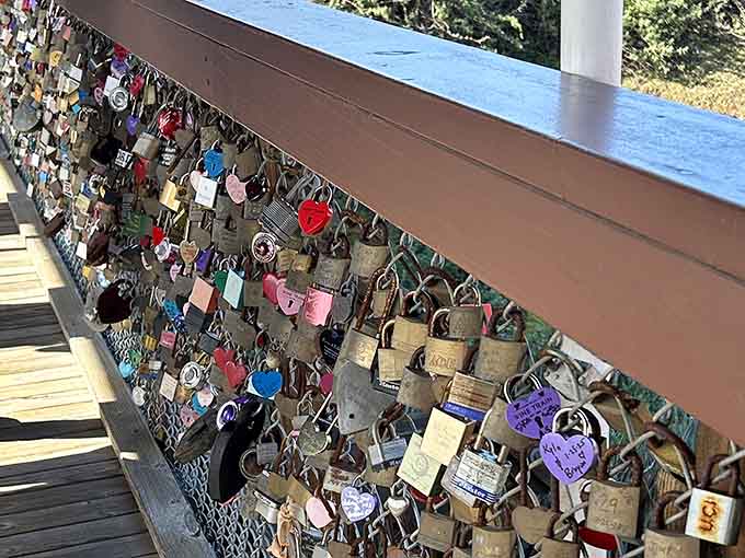 Love locks decorate the bridge like colorful confetti, each one representing a promise made in wine country.