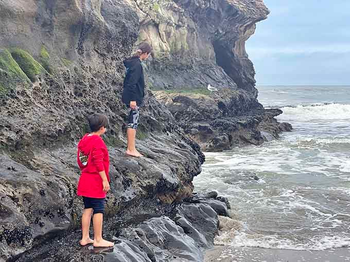 Young explorers discover that these layered rocks are basically geology's version of a history book.