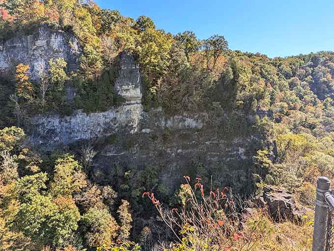 Limestone cliffs tower above the forest canopy, their layered faces telling stories written in stone.