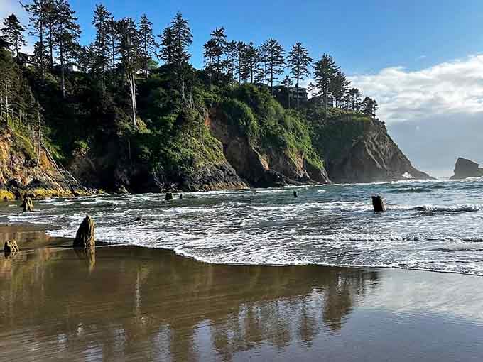 Where ancient forest meets modern coastline, time collapses into one spectacular view worth the drive.
