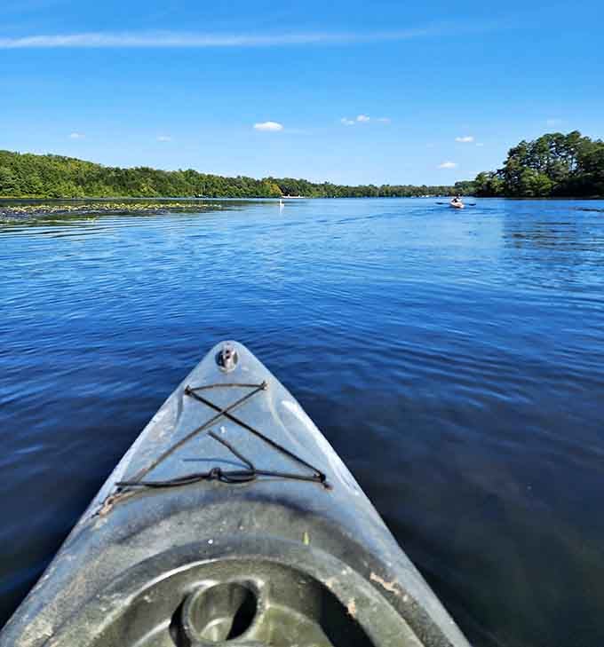Kayaking across Parvin's glassy surface, where the only traffic jam involves deciding which cove to explore next.