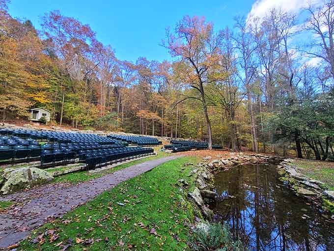 The amphitheater sits ready for performances, surrounded by trees that provide the world's best natural acoustics.
