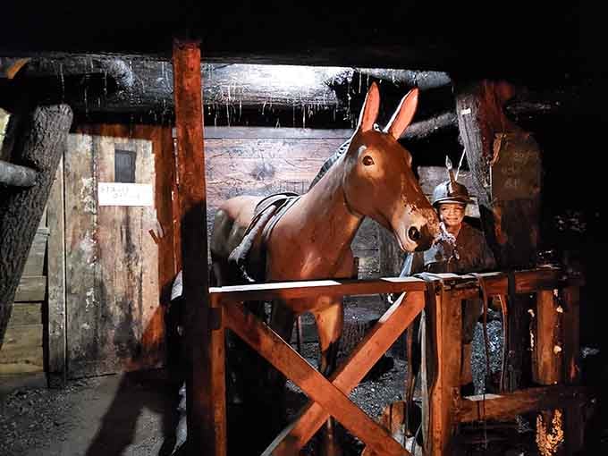 This mule display honors the four-legged workers who spent their entire lives underground, never seeing daylight but keeping miners company.