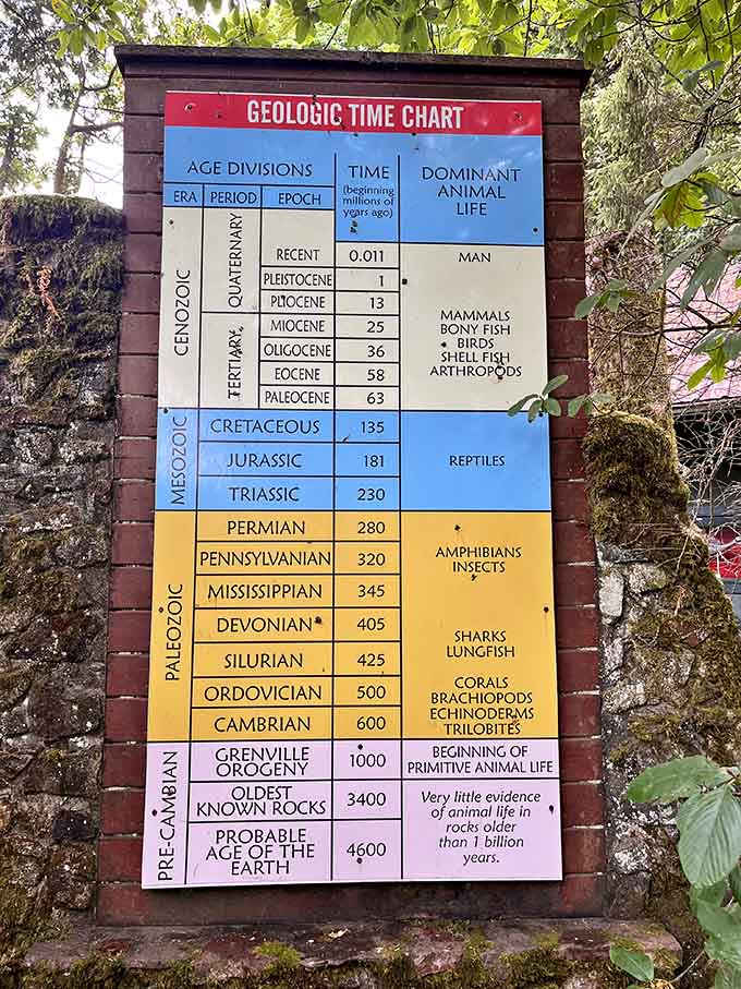 This chart makes 4.6 billion years look surprisingly manageable when you break it down properly.