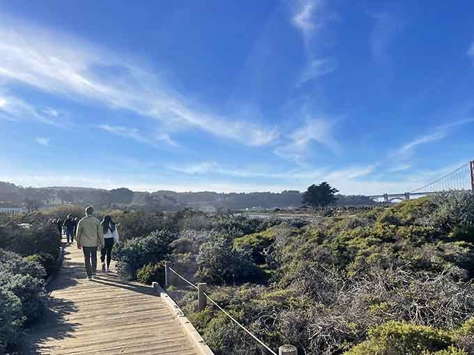The boardwalk curves through coastal plants while commuters below remain blissfully unaware of this paradise floating overhead.