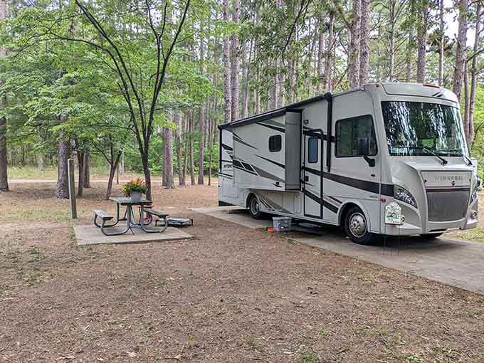 RV camping brings modern comforts to wilderness adventures. Like having your cake in the forest and eating it too, with air conditioning.