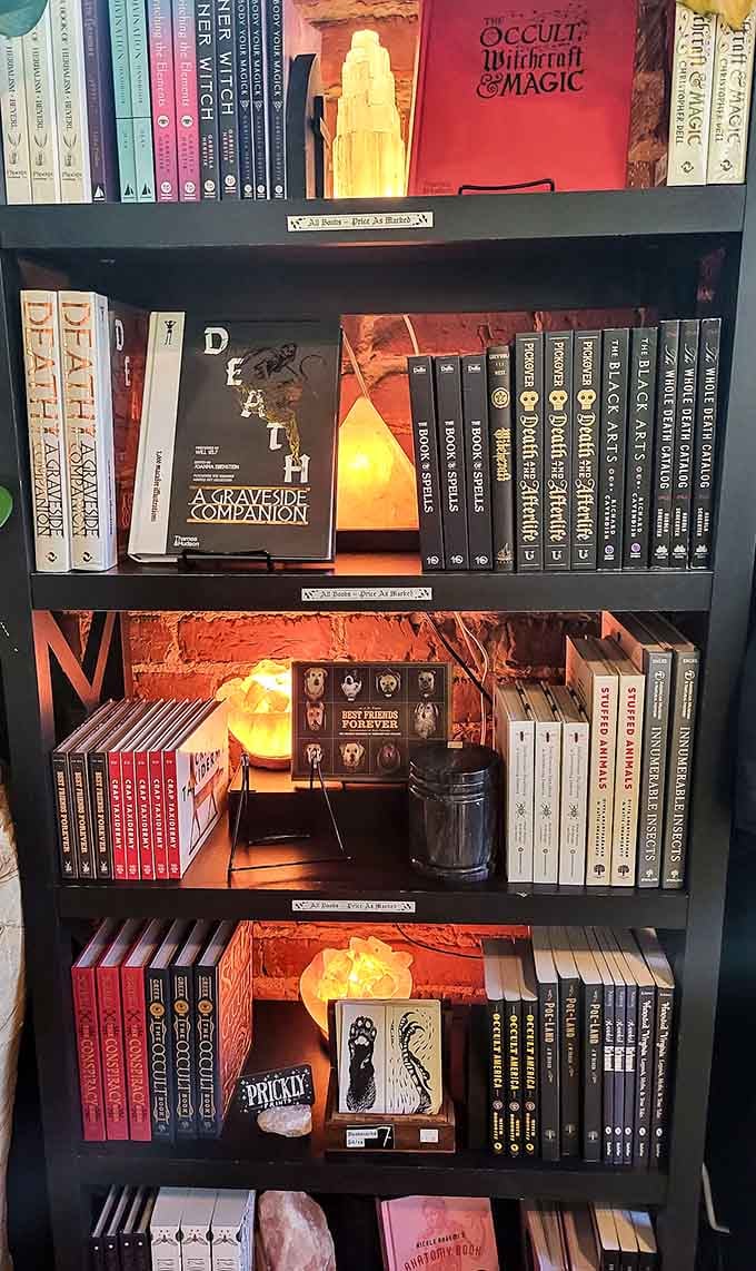 Books on witchcraft and occult magic line the shelves, perfect for anyone whose idea of light reading skews delightfully dark.