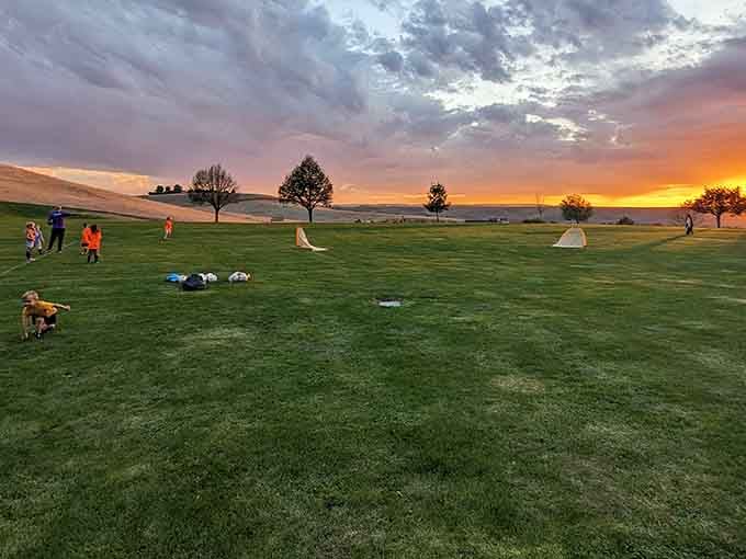 Sunset transforms an ordinary field into nature's light show, painting the sky in colors no Instagram filter could improve upon.