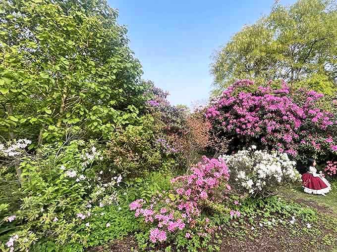 Azaleas explode in pink and purple glory, proving the botanical gardens take springtime very seriously indeed.