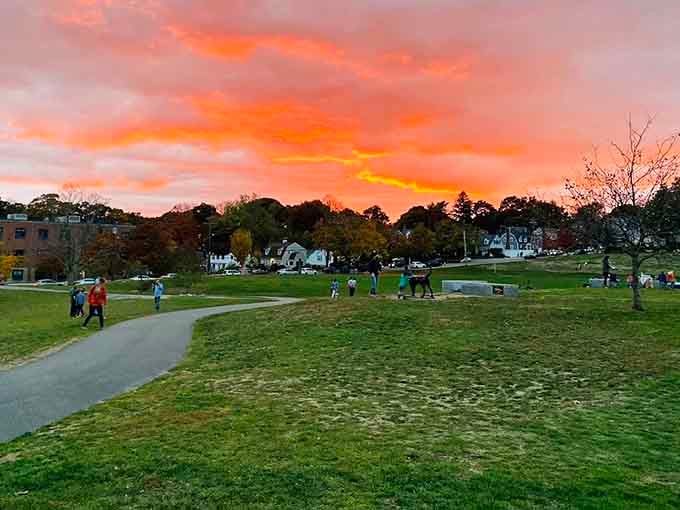 Sunset at the park turns an ordinary Tuesday into something worth posting about on social media.
