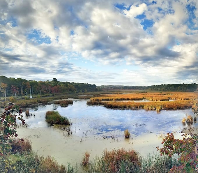 Salem Woods offers marshland beauty that reminds you nature doesn't care about your witch-themed shopping bags at all.