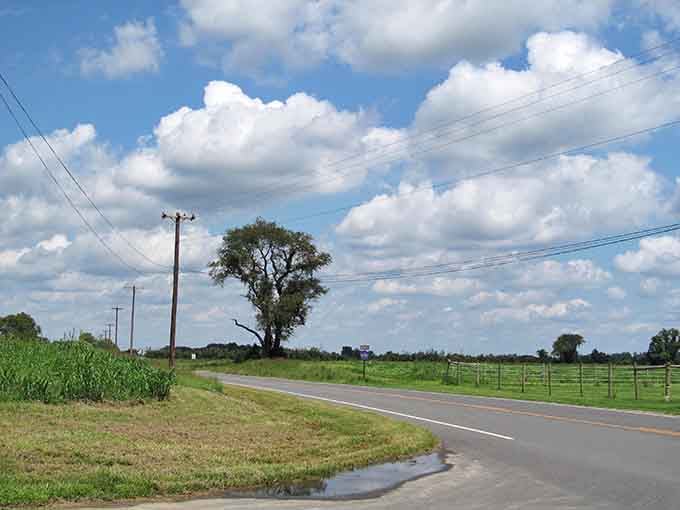 Open roads and farmland stretch endlessly, reminding you that New Jersey isn't all turnpikes and traffic nightmares.