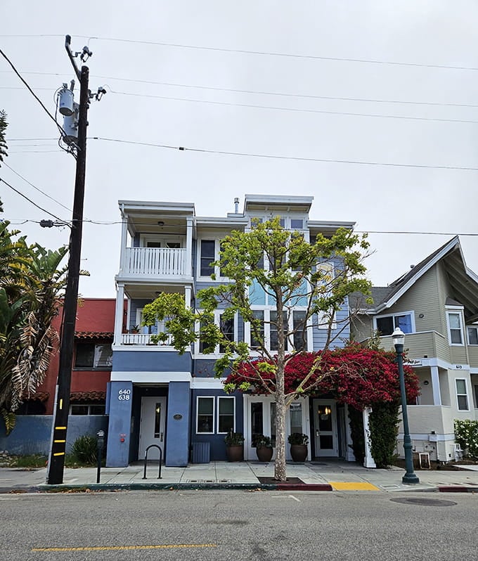 Pacific Blue Inn offers that classic California motel charm where palm trees are part of the package.