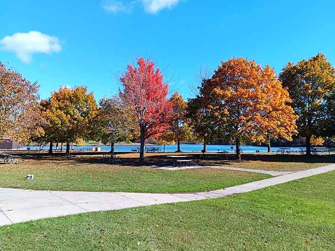 Fall colors so vibrant they make your phone's camera work overtime trying to capture the real thing.