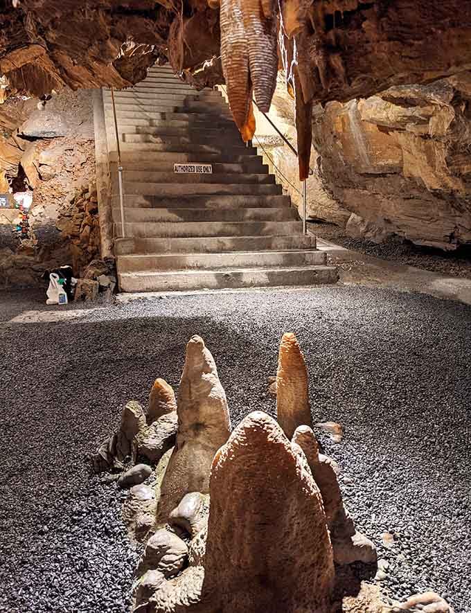 A whimsical stone formation guards the stairway, resembling a creature from prehistoric times keeping eternal watch below.