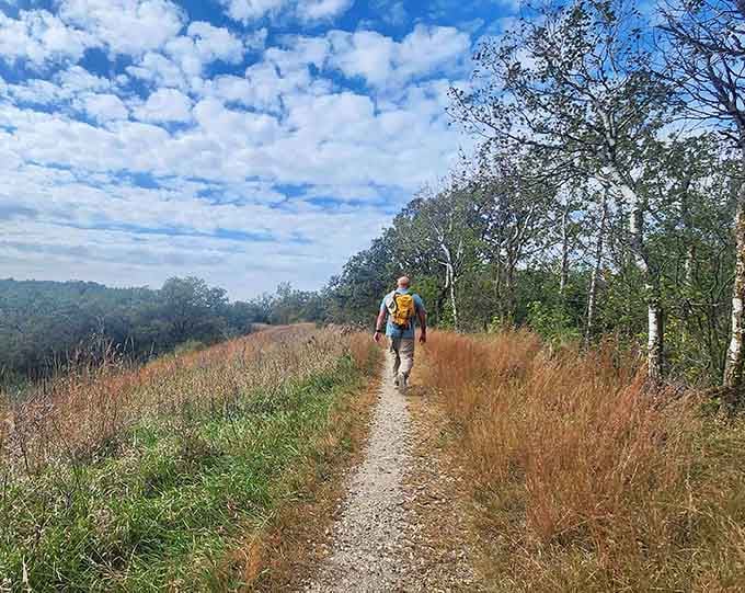 Solo hikers find peace on trails where the only traffic jam involves deciding which scenic overlook to visit first.