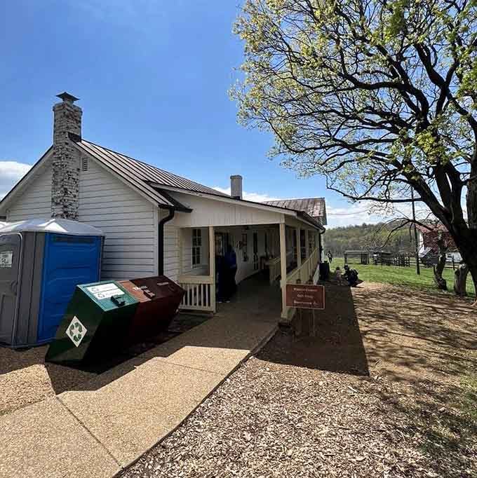 The visitor center welcomes you with that classic park service charm and all the trail maps your heart desires.