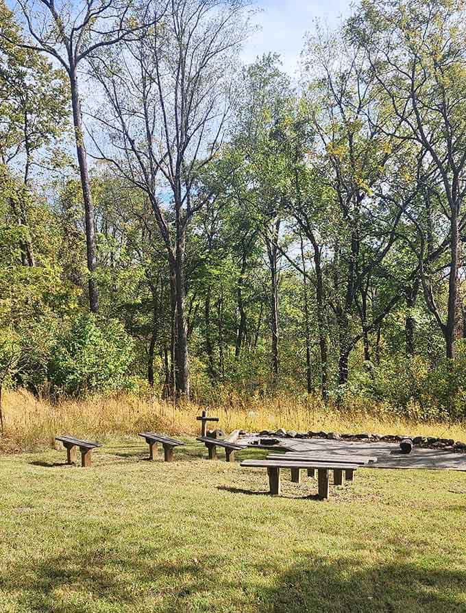 Picnic spots with views that turn ordinary sandwiches into gourmet dining experiences.