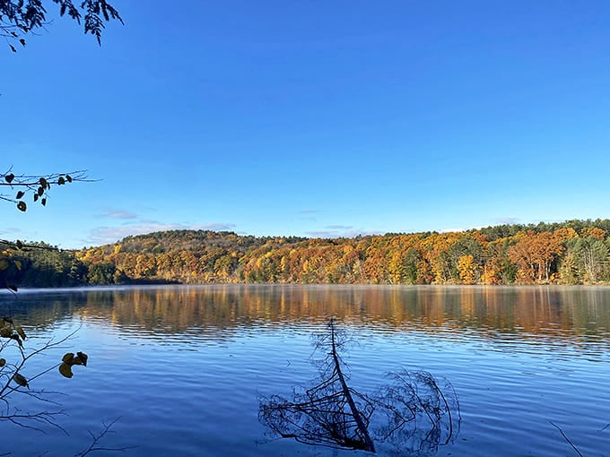 Fall in New Hampshire isn't just a season, it's a spectacular performance reflected in the mirror-like waters of this serene lake.