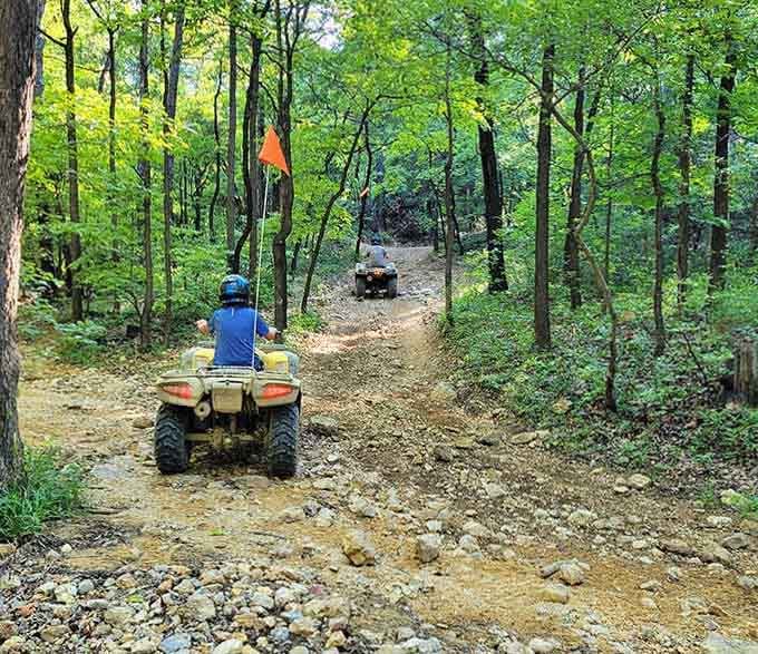 Following the trail through the woods, where the journey matters just as much as the destination.