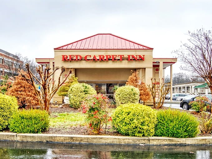 Accommodations near the Metro station mean you can explore without contributing to Beltway traffic nightmares.