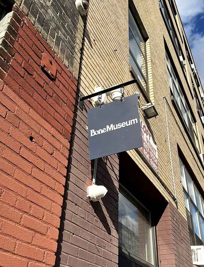 The unassuming exterior sign marks your gateway to Brooklyn's most unusual educational experience, hiding skeletal treasures within.