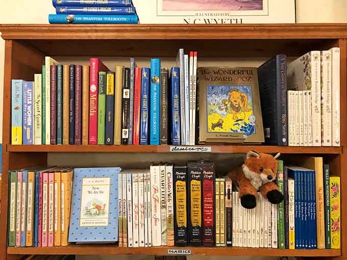 Classic literature including The Wonderful Wizard of Oz reminds us that some stories never lose their magic or relevance.