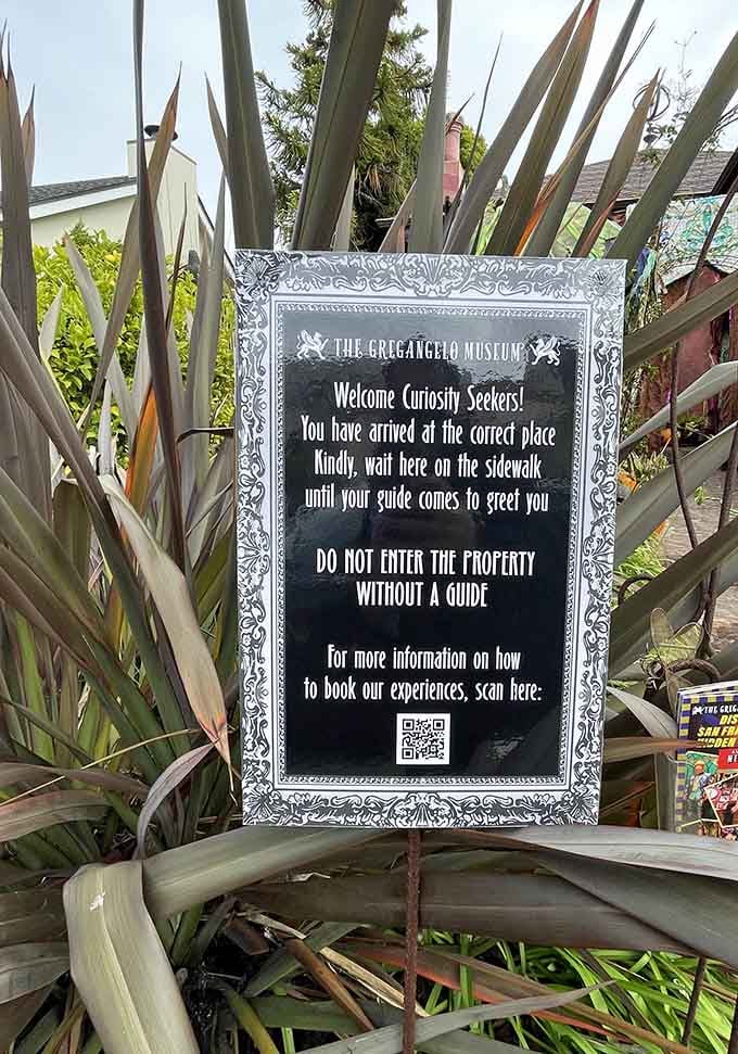 "Curiosity Seekers" is the politest way to say "people who think normal museums are boring as toast."