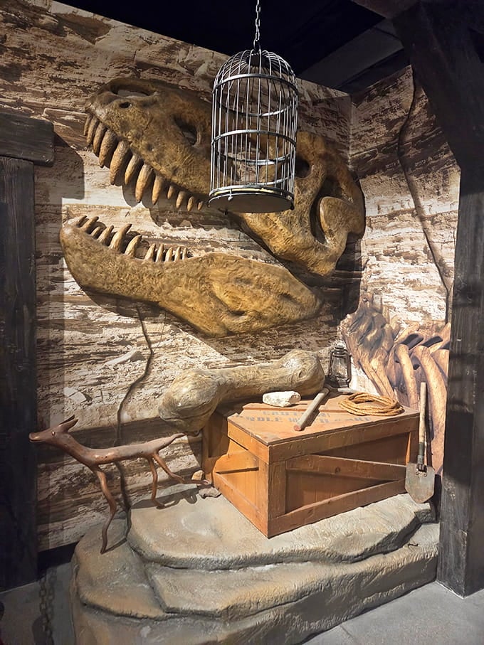 The field excavation display complete with dramatic lighting, because even fake dig sites deserve proper ambiance and theatrical presentation.