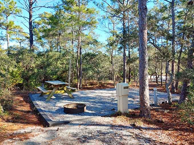 Campsite living that's roughing it only in the most generous definition of the term, thankfully so.