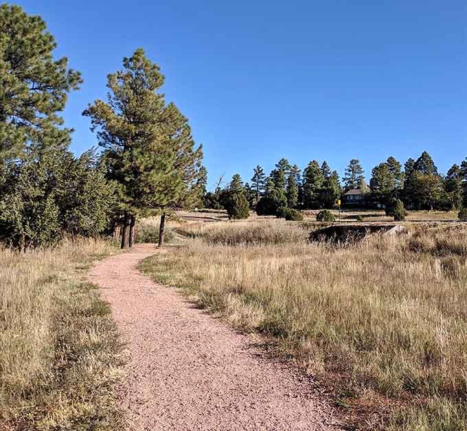 The path less traveled becomes the highlight of your day when it winds through golden meadows and pines with promises of lake views ahead.