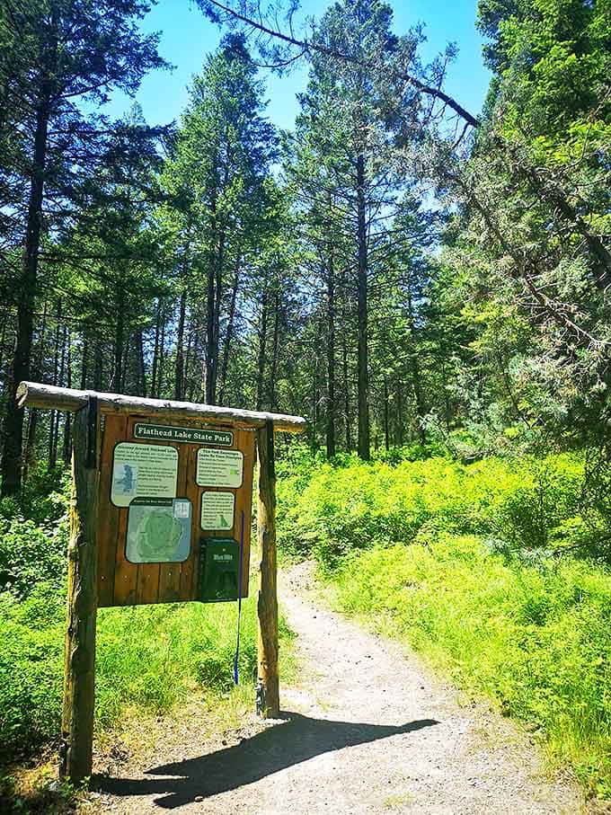 Every great hike begins with a simple sign. This trailhead marks where cell service ends and real connection begins.