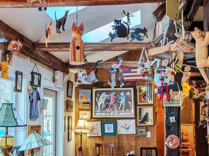 The ceiling decorations alone could keep you entertained for hours, cats included in the display.