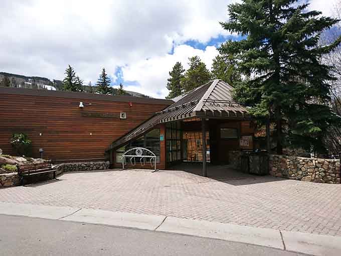 The Public Library's architecture blends seamlessly into the landscape, proving that even book repositories deserve mountain charm.