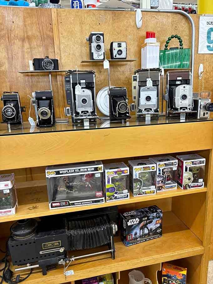 Vintage cameras capture the irony of being photographed themselves, their glass eyes having witnessed decades of memories before digital took over.