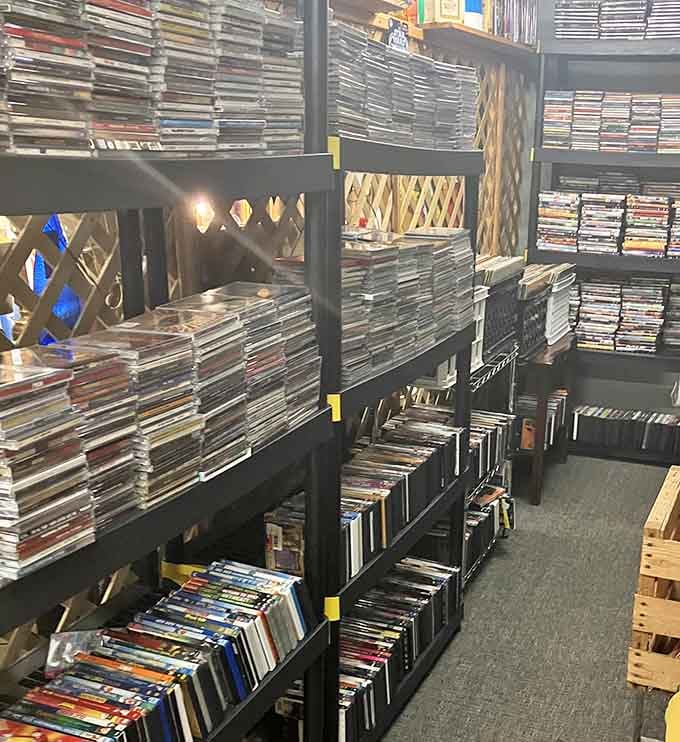 Rows of DVDs and CDs representing the brief era between VHS and streaming, preserved like digital fossils.