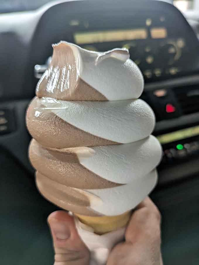 A soft-serve cone twisted to perfection, chocolate and vanilla swirled together like some kind of frozen dairy miracle.