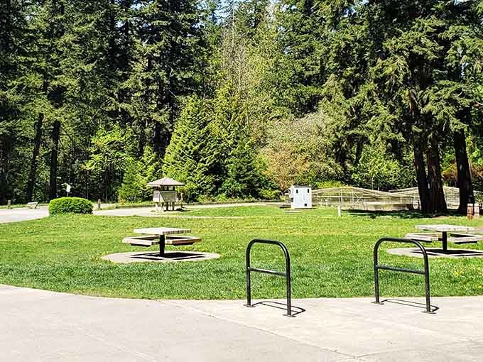 Perfect picnic spots where your biggest concern is whether the squirrels will judge your sandwich choices.