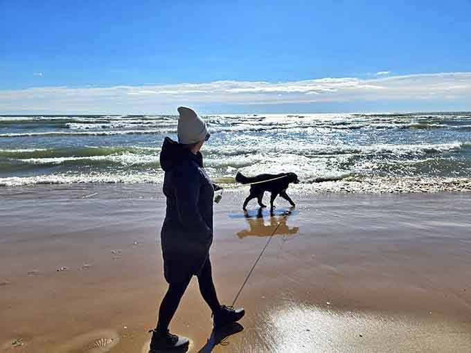 Even the dogs know this beach is special, and they're notoriously tough critics of outdoor destinations.