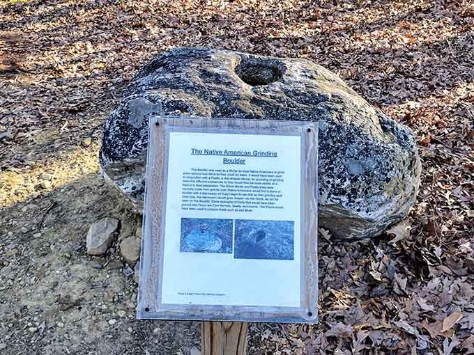 Ancient grinding stones tell stories that predate the castle, adding layers of history to your afternoon stroll.