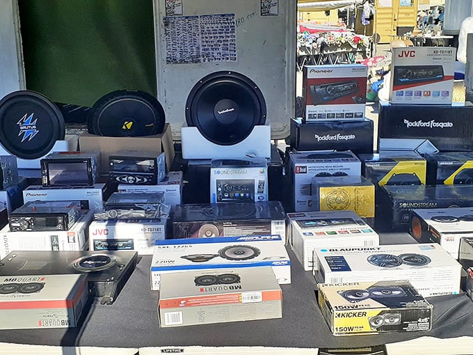 Car audio systems that promise to announce your arrival three blocks before you get there. Bass that vibrates your very soul.