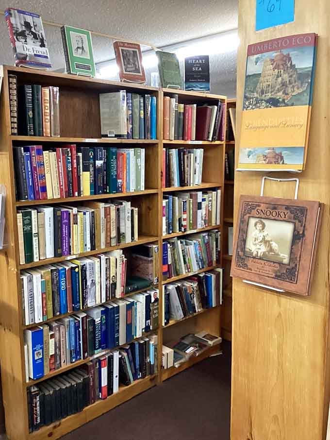 Shelves of books waiting to share their stories, from vintage hardcovers to collectible editions spanning literary history.