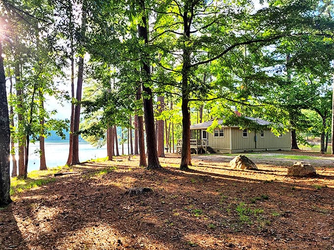 Rustic comfort that strikes the perfect balance between "getting away from it all" and "not sleeping on rocks."