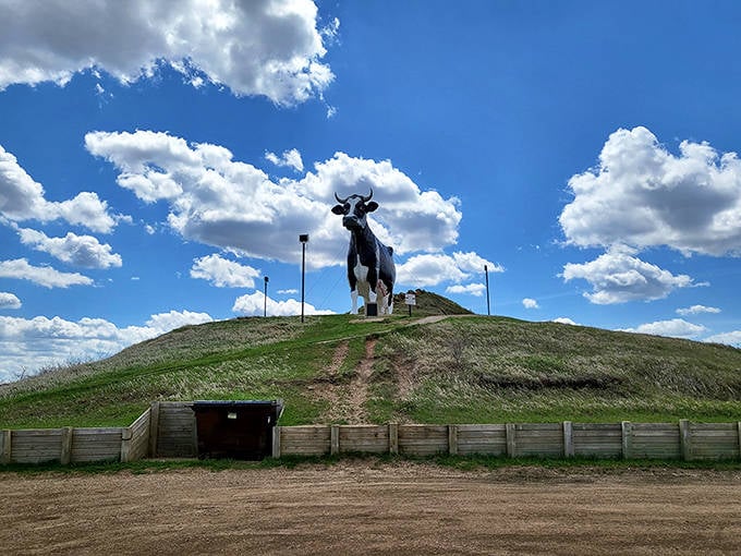Against dramatic prairie clouds, Sue maintains her vigilant watch&mdash;the guardian of New Salem and champion of dairy farmers everywhere.