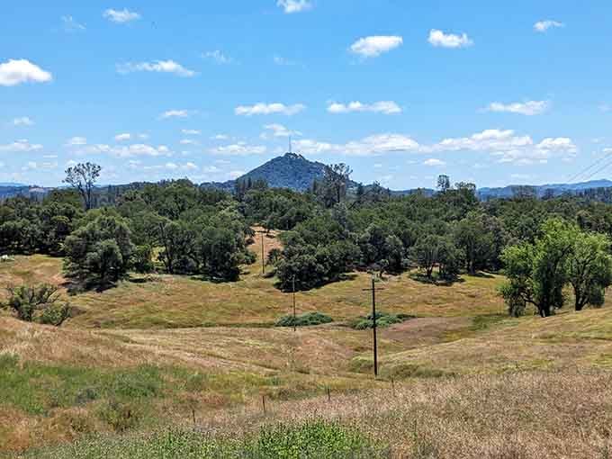 Rolling hills dotted with oaks create the quintessential Gold Country landscape. That distant mountain peak serves as nature's compass point for explorers past and present.