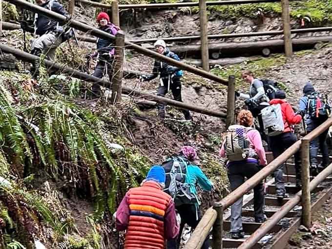 The universal hiking formation: a colorful conga line of outdoor enthusiasts wondering "how much farther?" while pretending they're not winded.