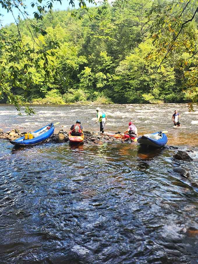 Kayakers gather like colorful water bugs on the Lehigh's rippling surface. Weekend warriors and river veterans sharing stories while the current waits patiently.
